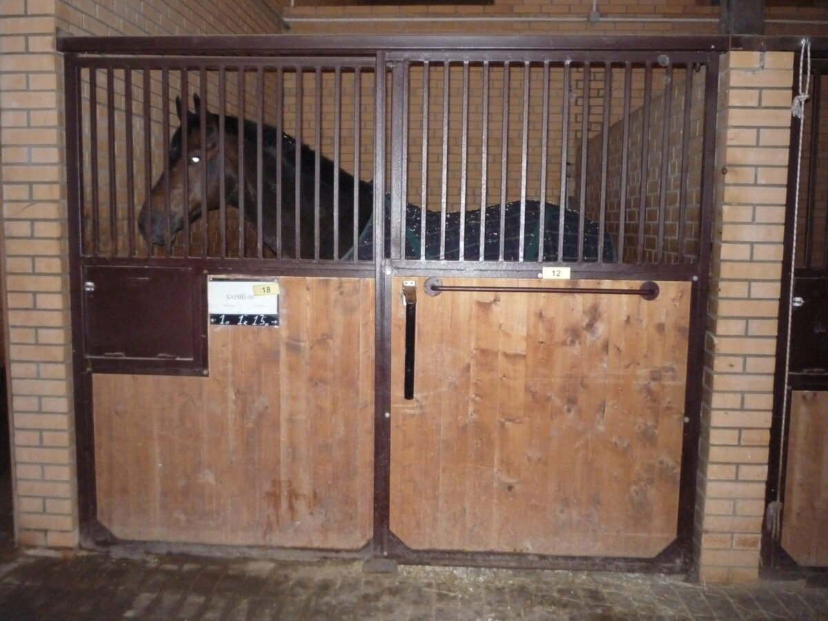 Stall for horse sliding gate barn Romania Slovakia Slovenia buy